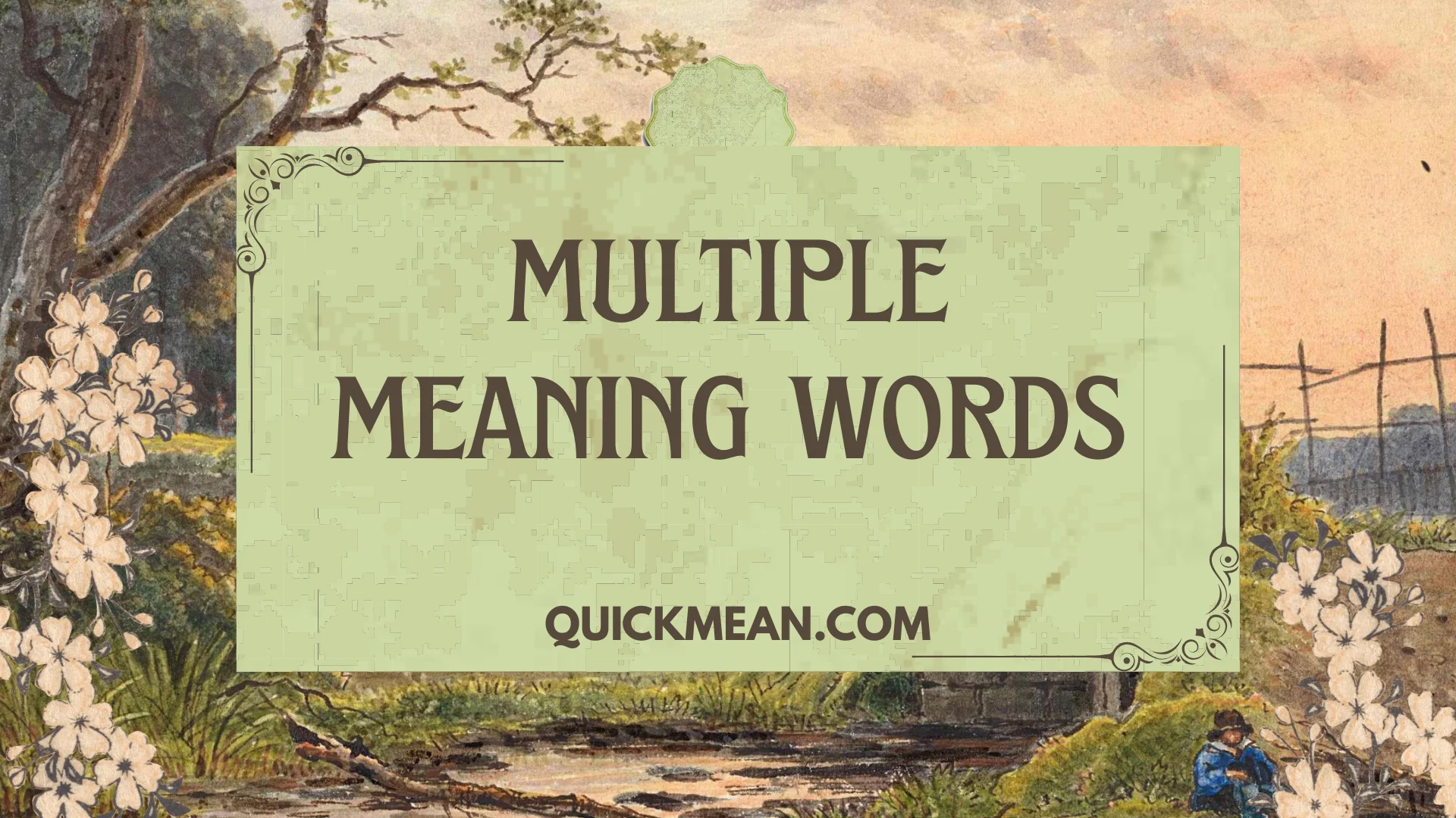 Multiple Meaning Words: What They Are, Why They Matter, and How to ...