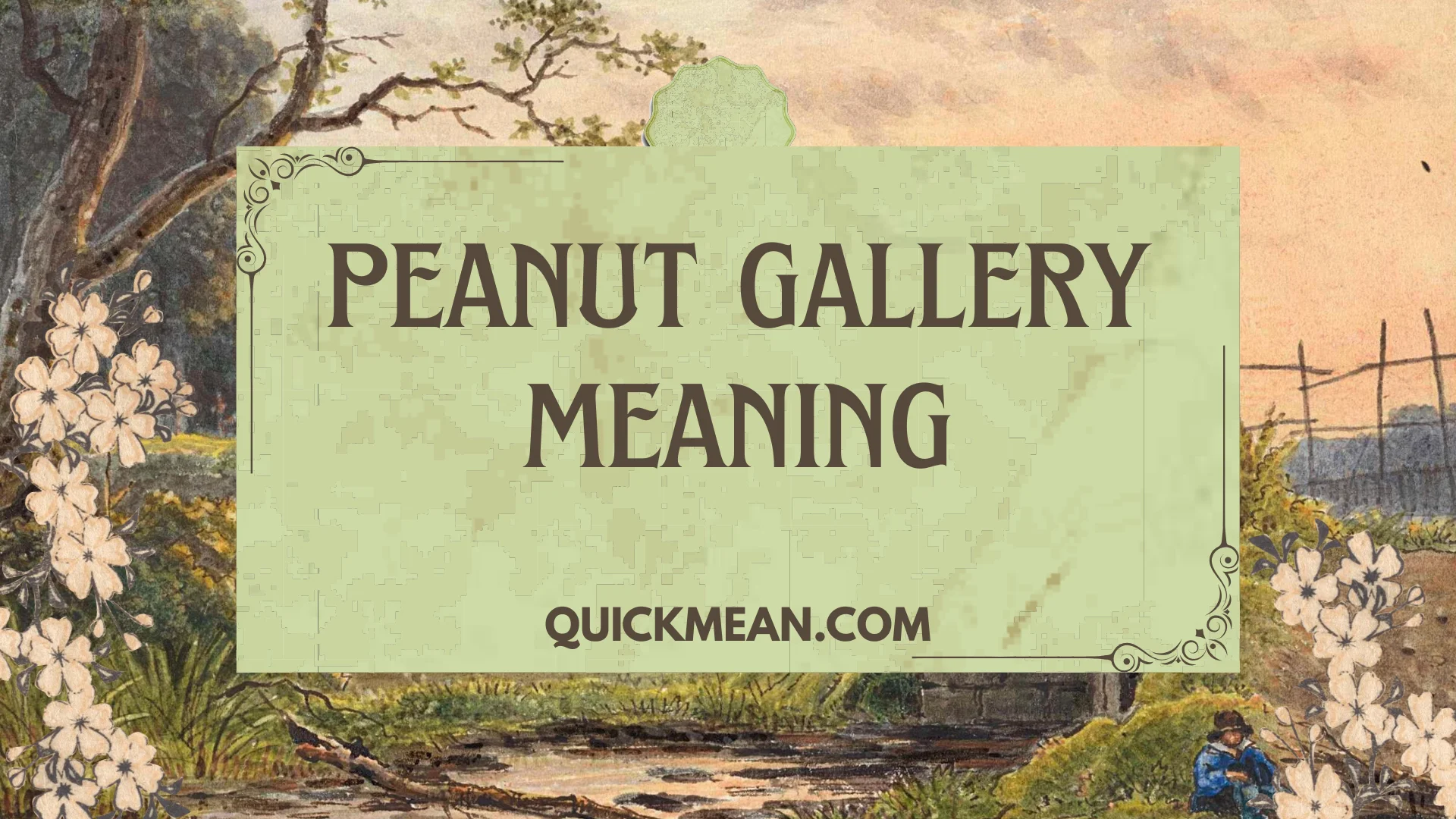 Peanut Gallery Meaning: Origin, Cultural Roots, Emotional Impact, and ...