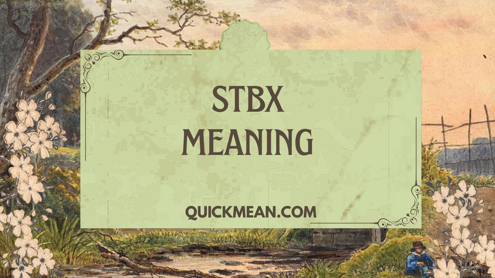 STBX Meaning: What This Modern Relationship Term Really Stands For